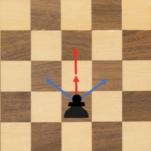 Schach für Kinder - Grundregeln und Tipps | grossvater.de